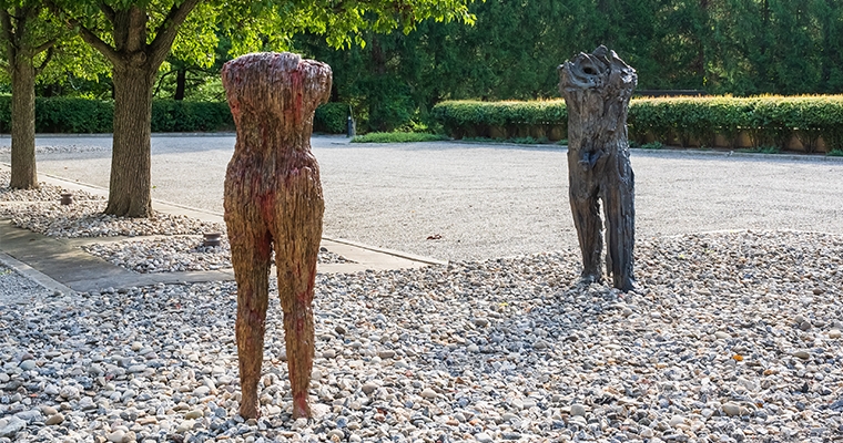 Michele Oka Doner · Katonah Museum of Art